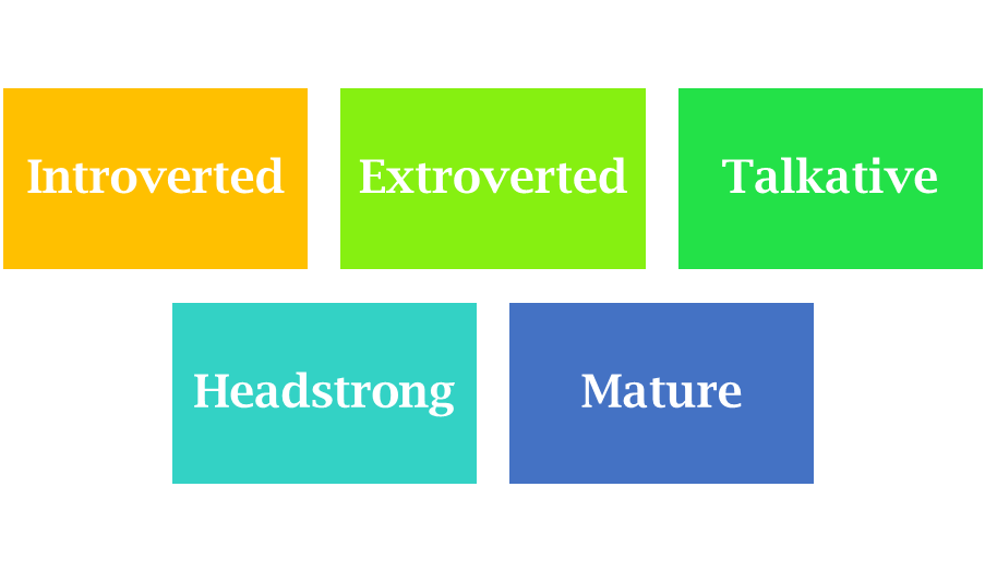 What is Personality Development for Students & Why it Matters?